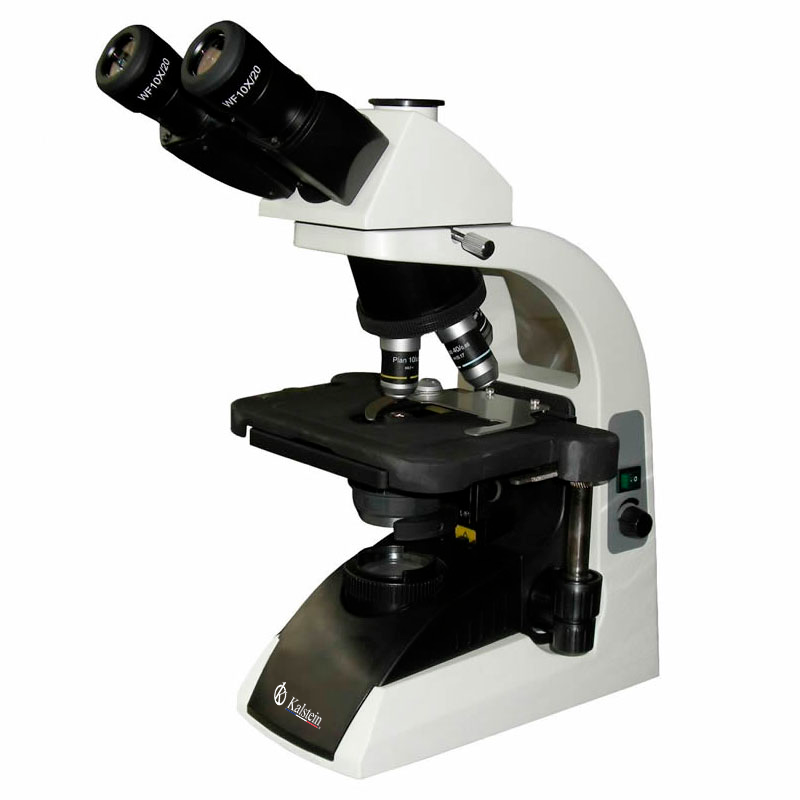 Quels sont les différents types de microscopes optiques ? - Kalstein