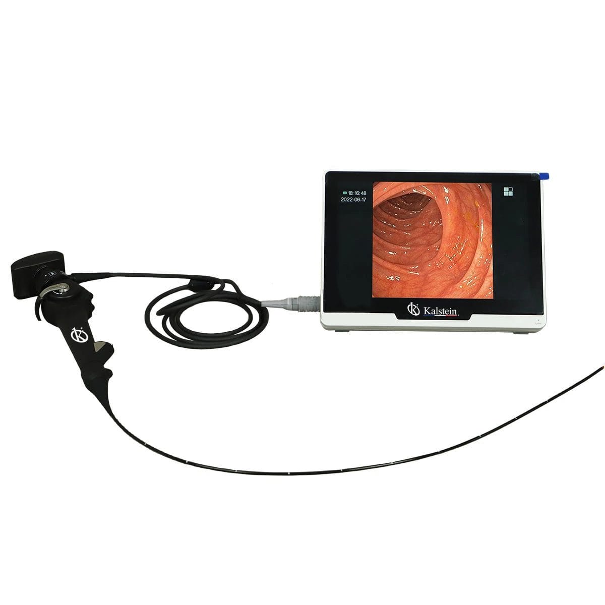 Preparation for Video Endoscopy in Animals: Step-by-step Guide - Kalstein