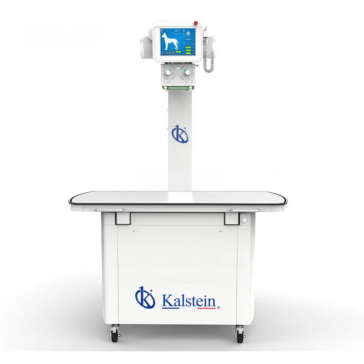 Kalstein: Successfully Navigating the Veterinary Radiology Landscape ...